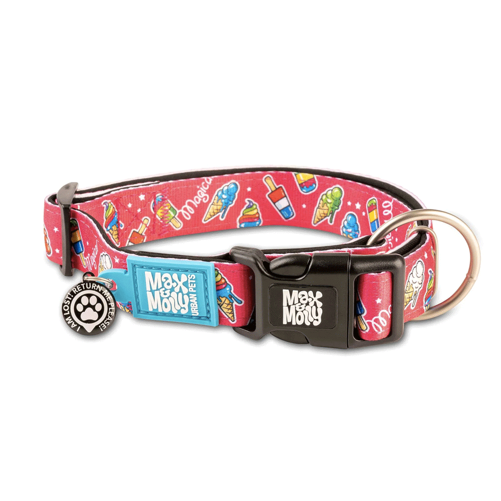 Max & Molly Collar Magical | Foopy Pet Store